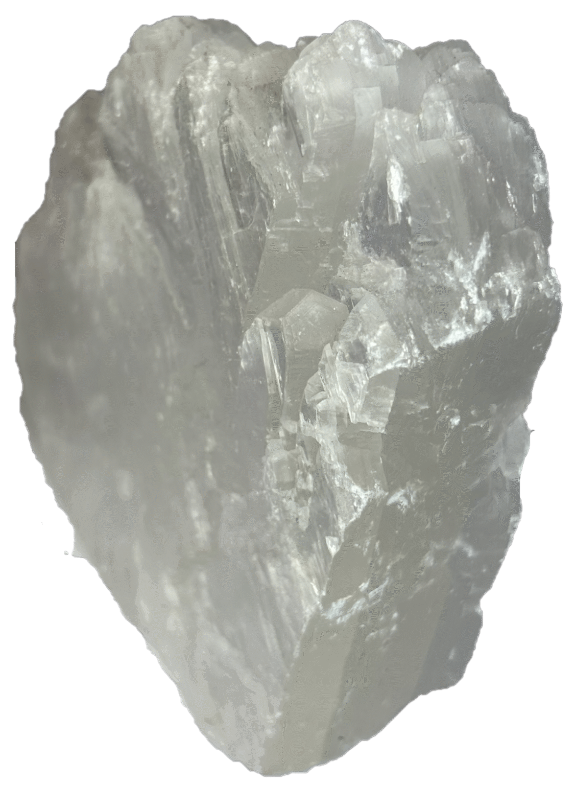 Fish tail selenite - Sians Emporium
